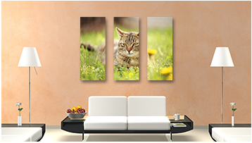 Photos on to Canvas Prints | 70% OFF | Premium Quality at The Canvas Prints